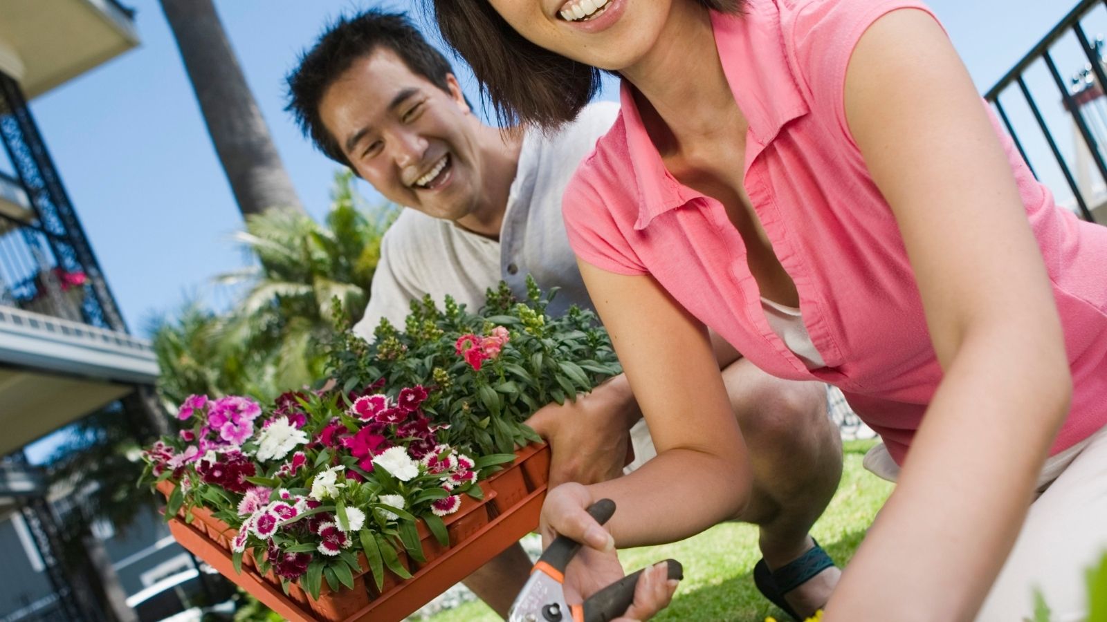 What are the Duties of Domestic Couples? - HazeltonClive